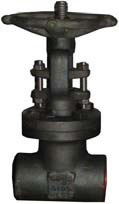 Vogt #13111 1in 800# A105 Forged Full Port Gate Valve - FNPT ...
